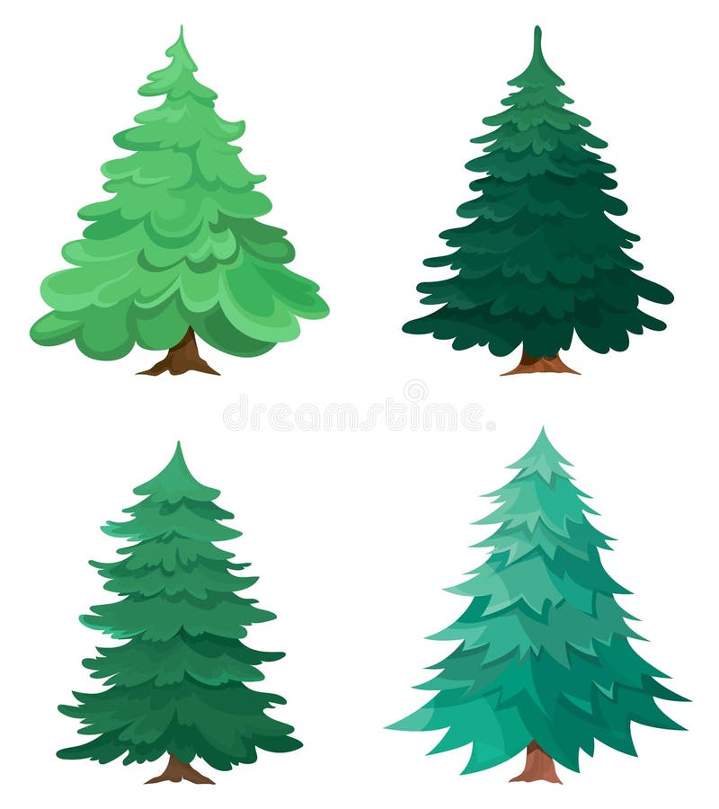 Set of Different Conifer Trees Stock Illustration - Illustration of ...