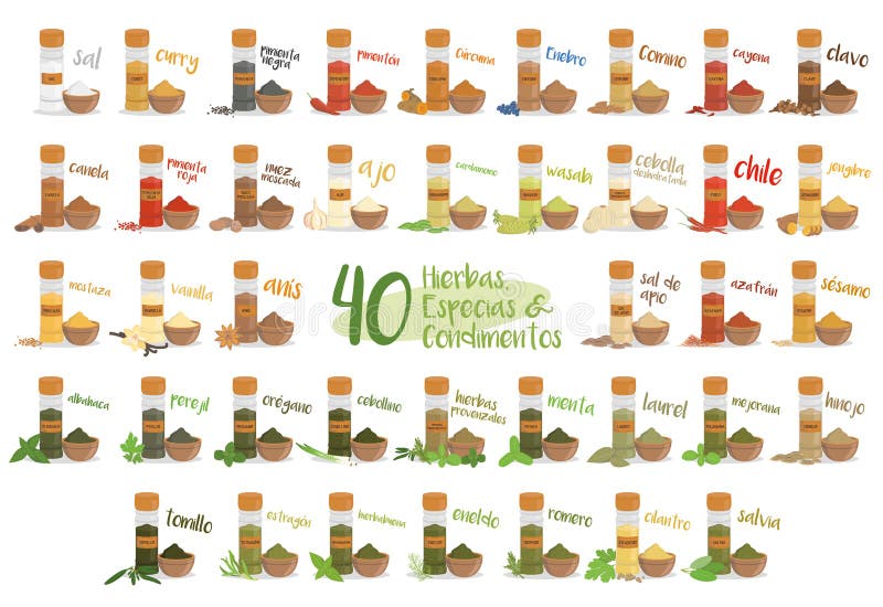 Set of 40 Different Culinary Herbs, Species and Condiments in Cartoon ...