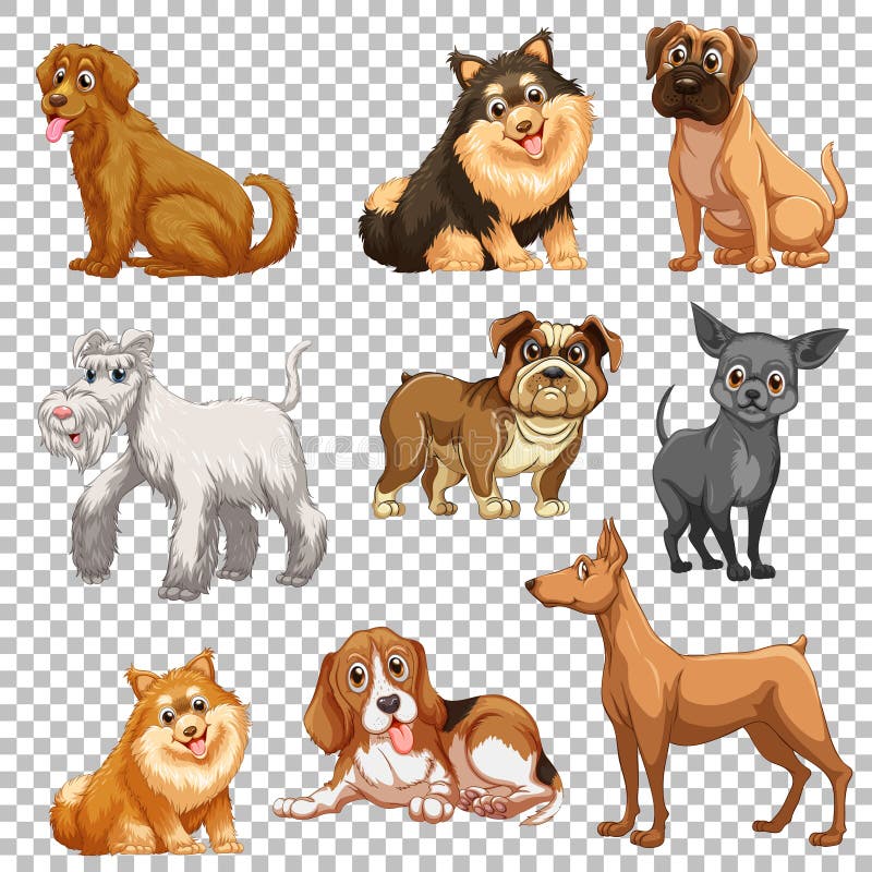 Set of Different Dogs Isolated Stock Vector - Illustration of vector ...