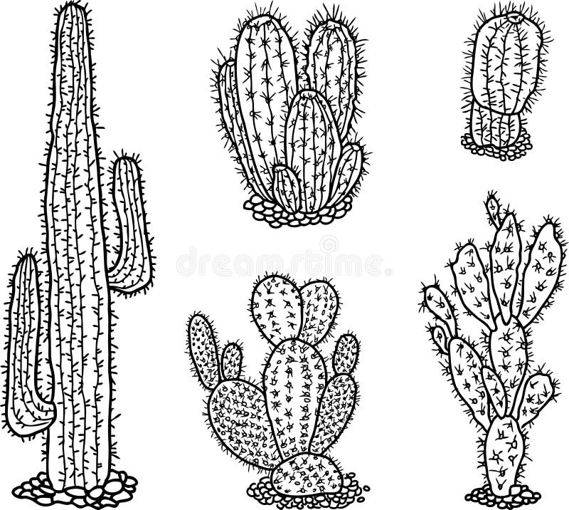 Cactuses stock vector. Illustration of hand, branch, sketch - 44114260