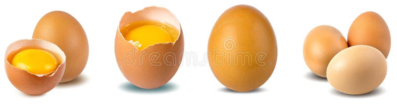 Set of Different Eggs Isolated on White Background. Collection of ...