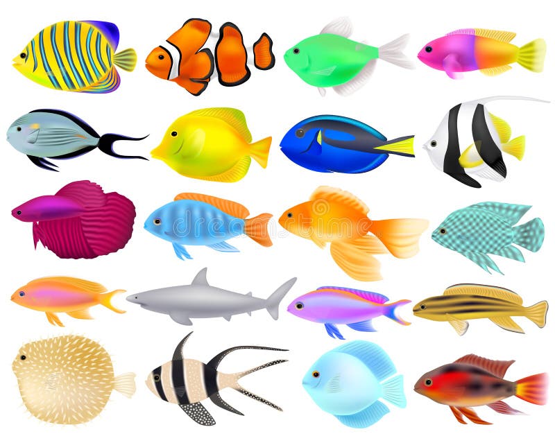 Set of Different Fish, Three-dimensional Realistic, Vector Illustration ...