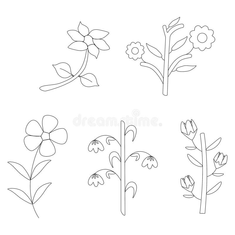 Set of Different Flowers and Branches Coloring Page Stock Photo ...