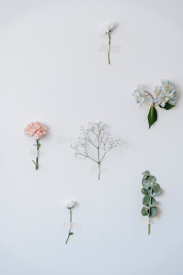 Set of Different Flowers on White Background Stock Image - Image of ...
