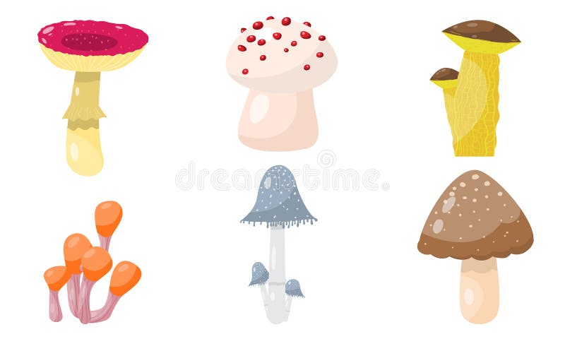 Set of Different Forest Mushrooms and Toadstools. Vector Illustration in Flat Cartoon Style ...