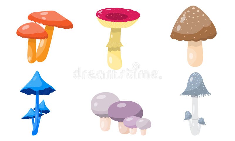 Set of Different Forest Mushrooms and Toadstools. Vector Illustration in Flat Cartoon Style ...