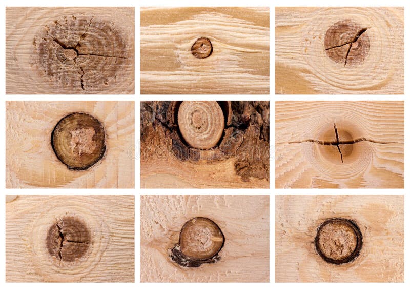 A Set of Different Knots on the Wood is Isolated Stock Image - Image of ...