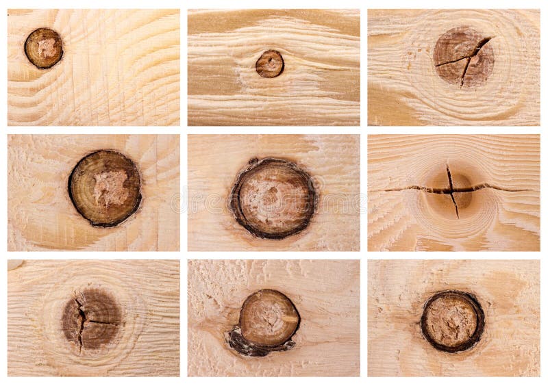 A Set of Different Knots on the Wood is Isolated Stock Image - Image of ...