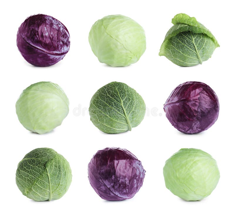 Set of Different Fresh Cabbages on Background Stock Photo - Image of ...