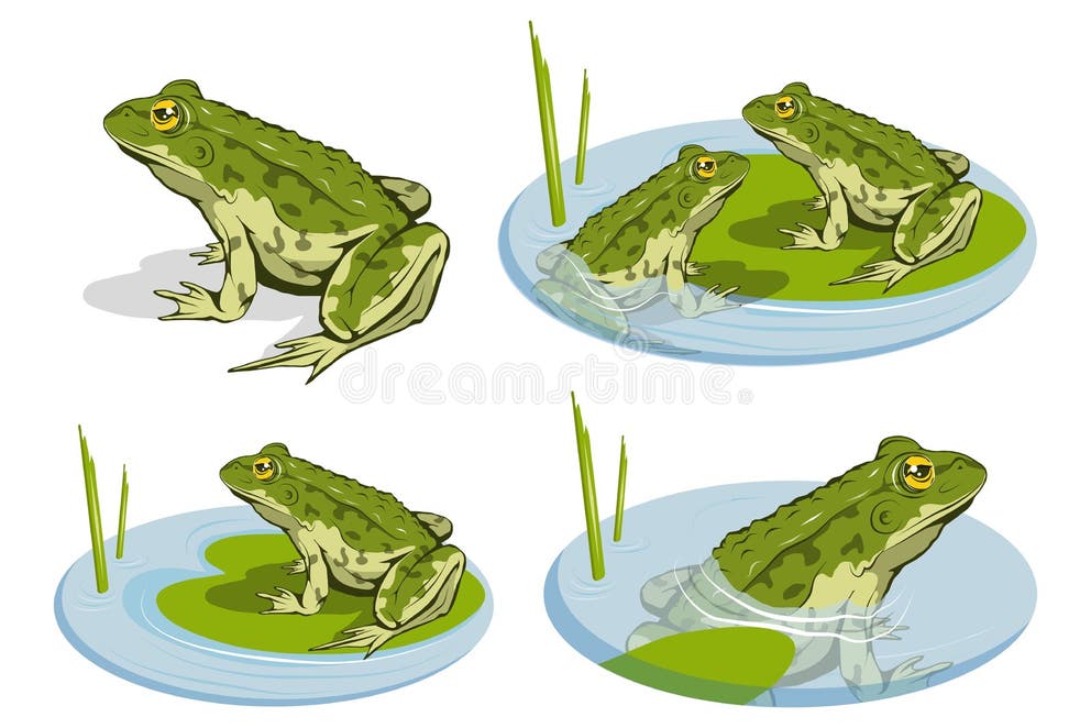 Frogs Croak Stock Illustrations – 110 Frogs Croak Stock Illustrations ...