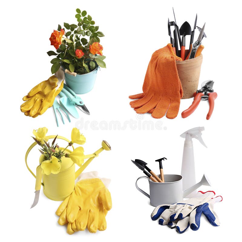 Set with Different Gardening Tools and Bright Gloves on White ...