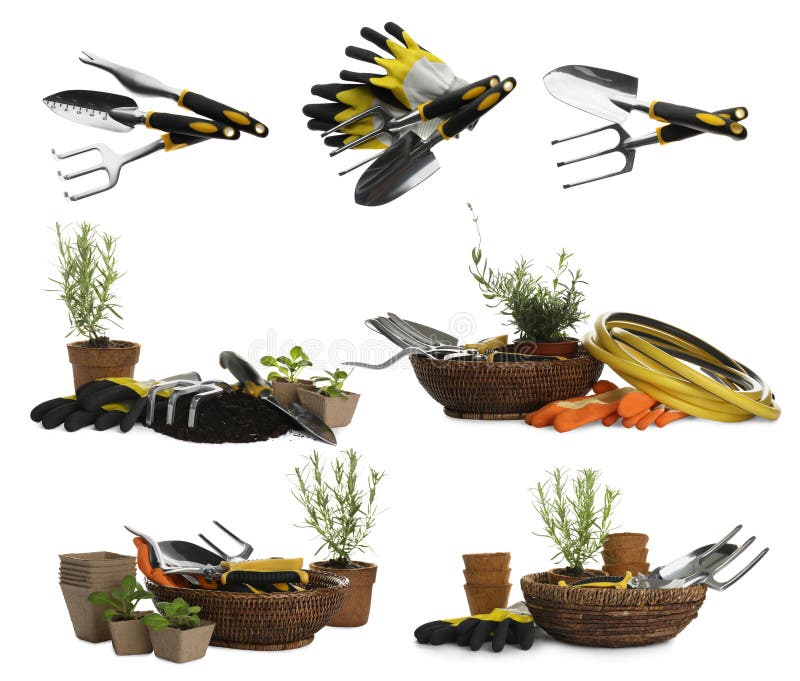 Set of Different Gardening Tools on White Background Stock Photo ...