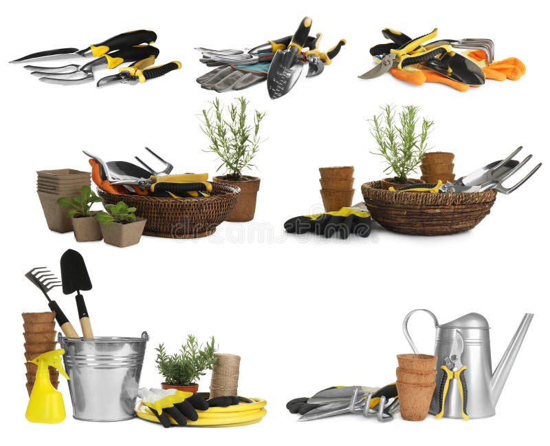 Set of Different Gardening Tools on White Background Stock Image ...