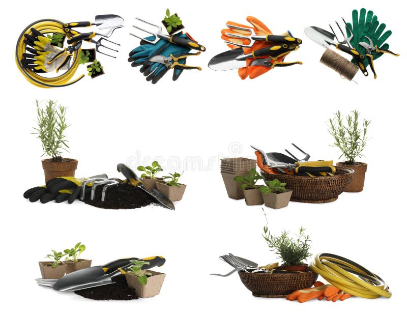 Set of Different Gardening Tools on White Background Stock Photo ...