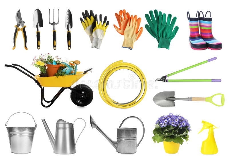 Set with Different Gardening Tools on White Background Stock Photo ...