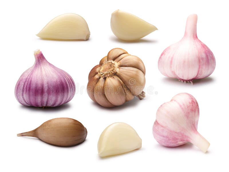 Set of different garlic cloves, paths, Set of different garlic bulbs ...