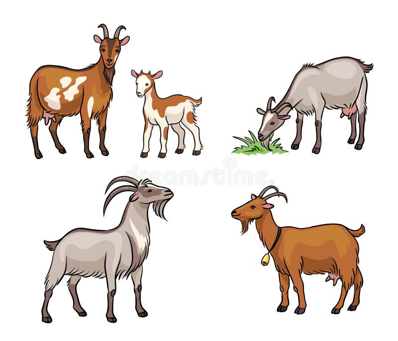 Set of Different Goats - Vector Illustration Stock Vector ...