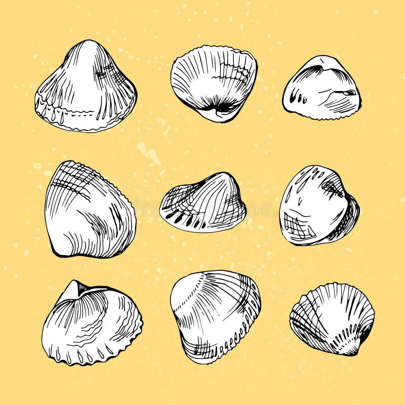 Different Hand Shape Design Illustration Stock Vector - Illustration of ...