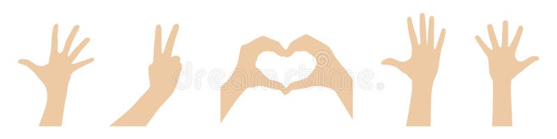 Set of Different Hand Positions. Vector Illustration Stock Vector ...