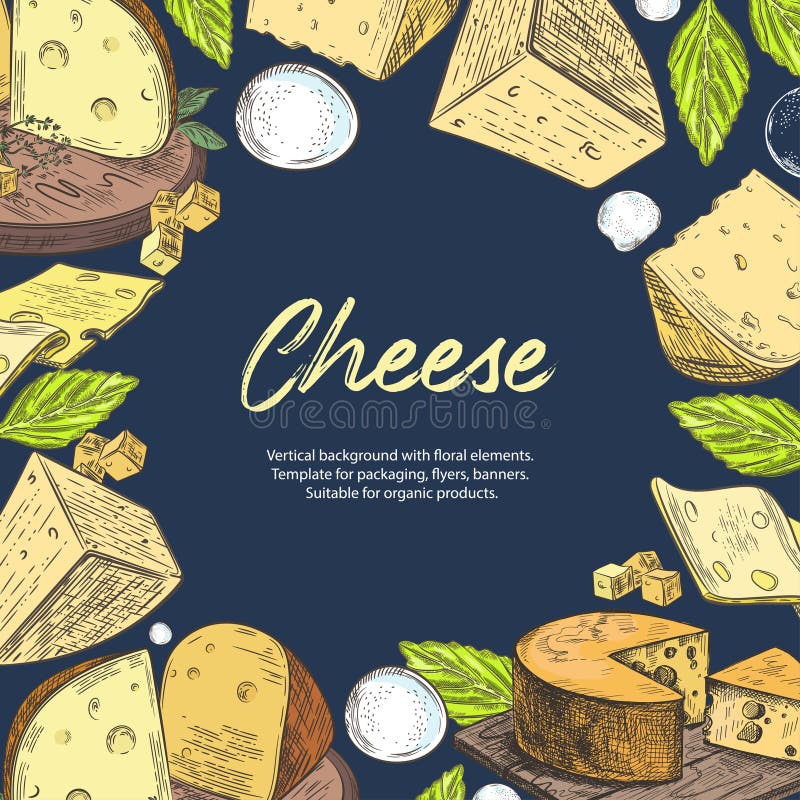 Set of Different Images of Cheese. Pieces of Cheese. Vintage Graphics ...