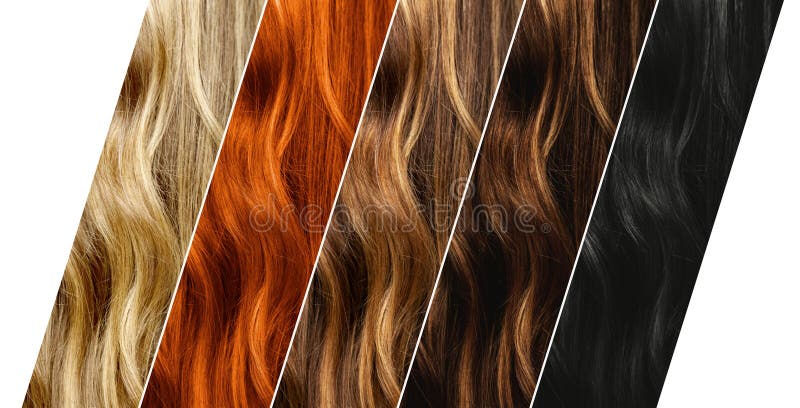 Set of Different Natural Hair Color Samples. Stock Image - Image of ...