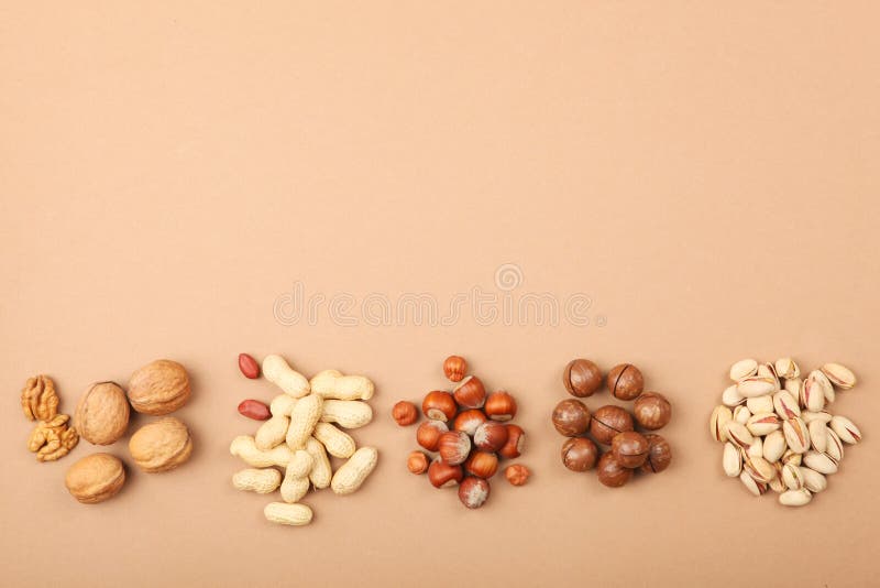Nuts in the table stock image. Image of orange, leaf - 203958903