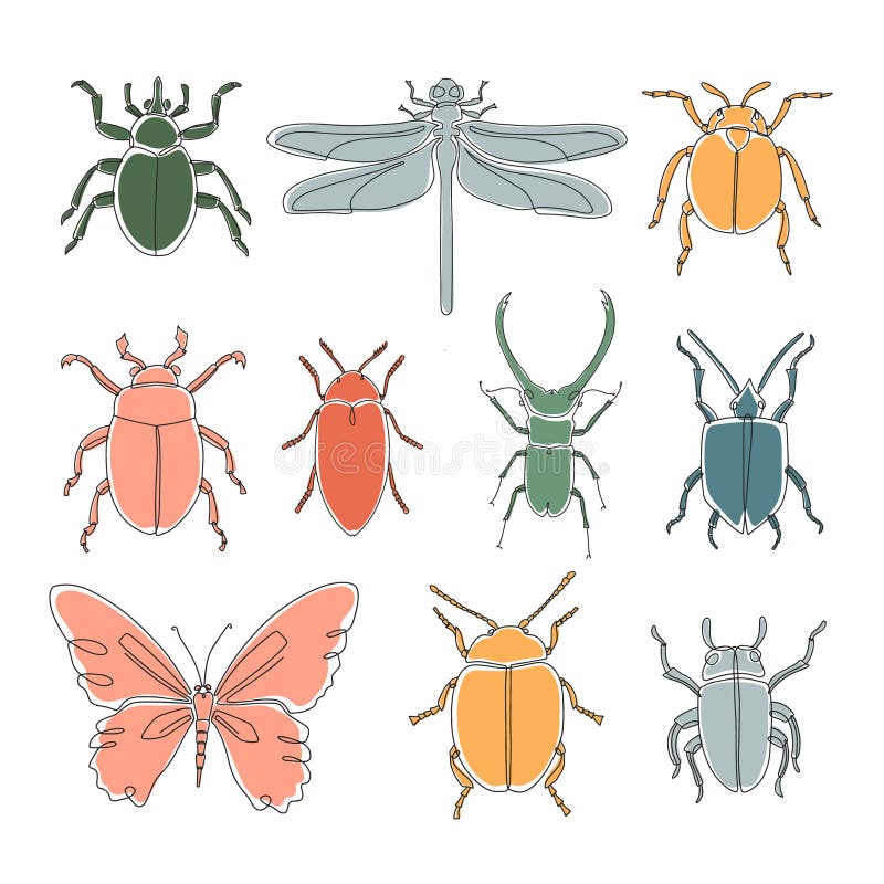 Set of Different Outline Abstract Insects. HAnd Drawn Vector ...