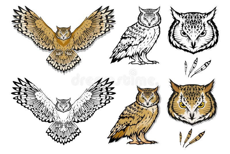 Set of Different Owls. Owl Logo. Wild Birds Drawing. Head of an Owl ...