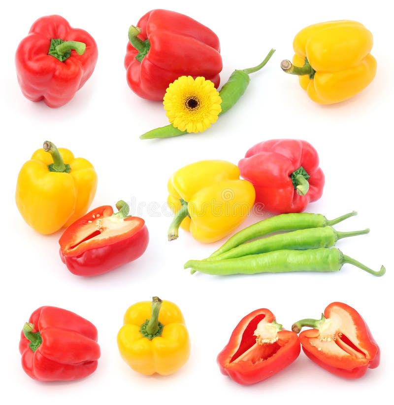 Set of different peppers stock image. Image of flower - 12626717