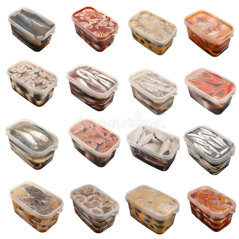 Set of a Different Preserved Fish in Box Stock Photo - Image of ...