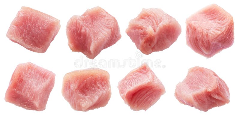 Set of Different Raw Turkey Meat Pieces Isolated on White. File ...