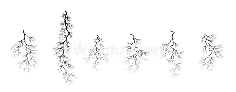 Set of Different Roots, Plant Root System Stock Vector - Illustration ...