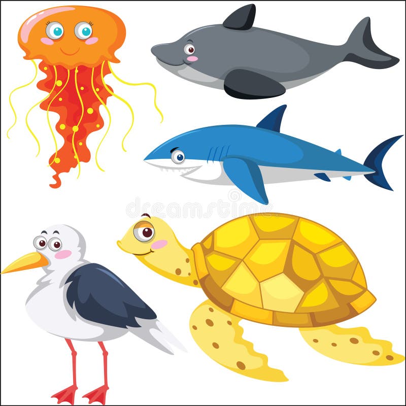 Set of Different Sea Animals Stock Vector - Illustration of bird ...