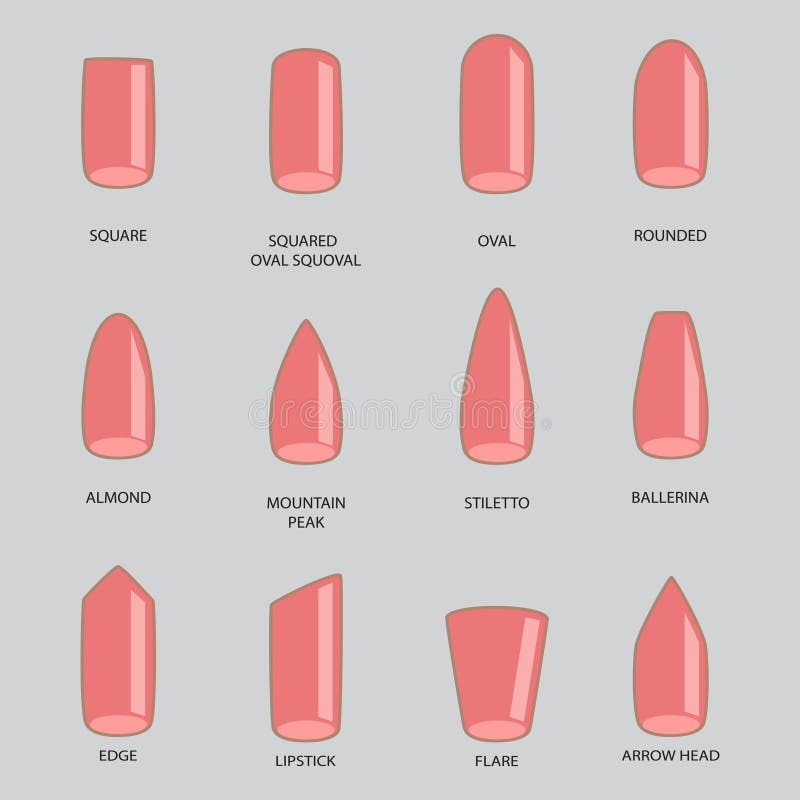 Set of Different Shapes of Nails on Gray. Nail Shape Icons Stock Vector ...