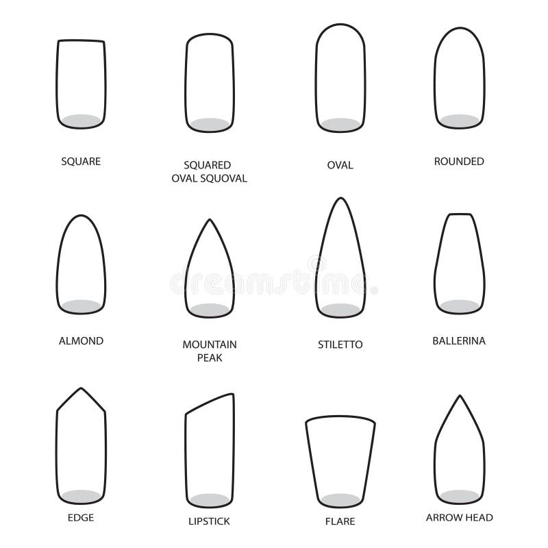 Set of Different Shapes of Nails on White. Nail Shape Icons Stock ...