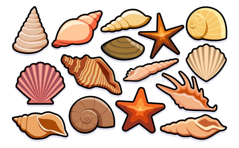 Set of Different Shells Isolated on White Background Stock Illustration ...