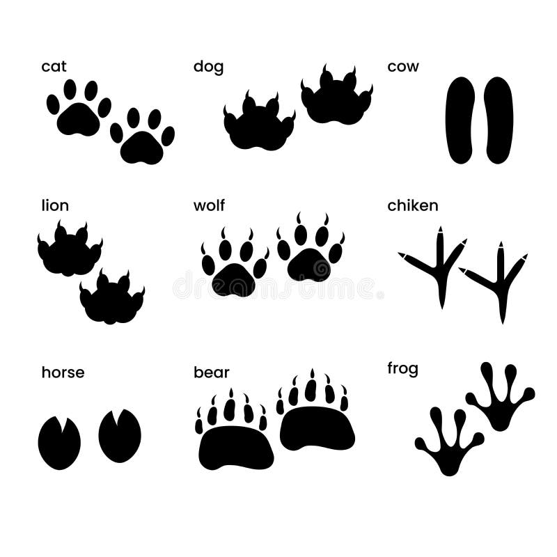 Different Dog Paws Stock Illustrations – 566 Different Dog Paws Stock ...