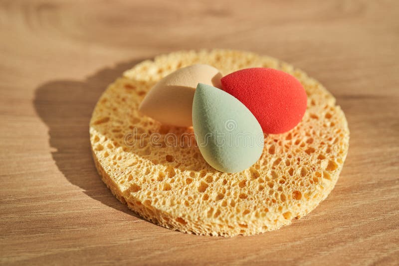 A Set of Different Sponges: Small Colored Ones and a Large Natural ...