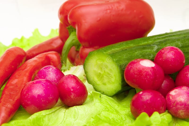 Set of Different Spring Vegetables Stock Photo - Image of farm ...