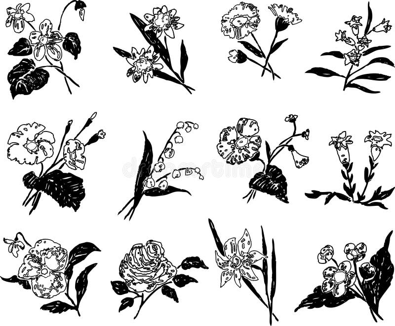 A Set of Different Stylized Drawn Flowers Stock Vector - Illustration ...