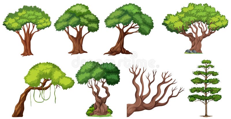 Set of different tree stock vector. Illustration of seasonal - 243221027
