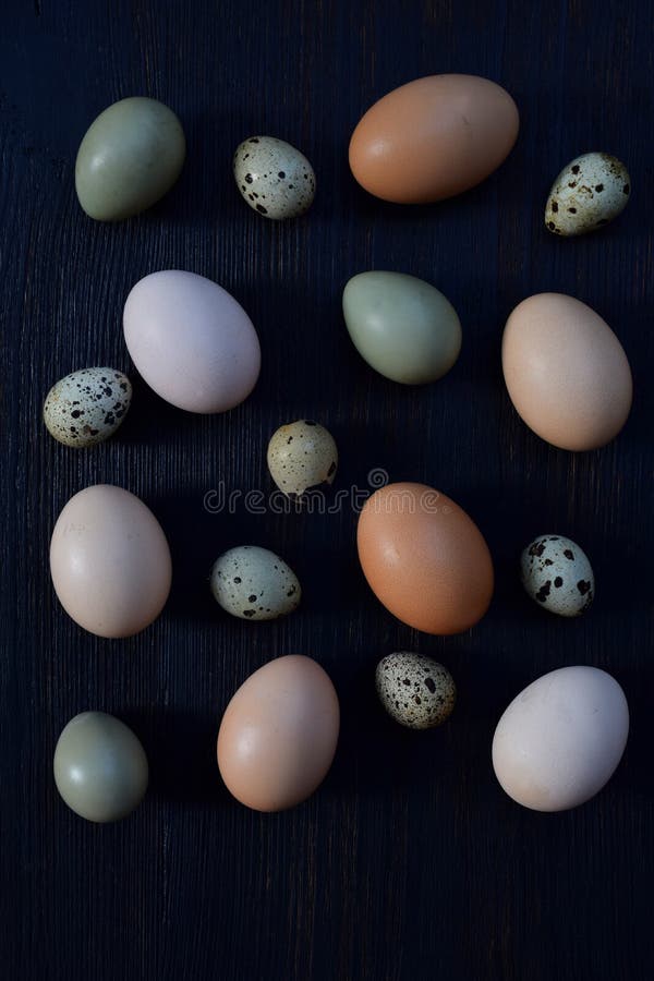 Set of Different Types Birds Eggs from Chicken, Pheasant and Quail on a ...