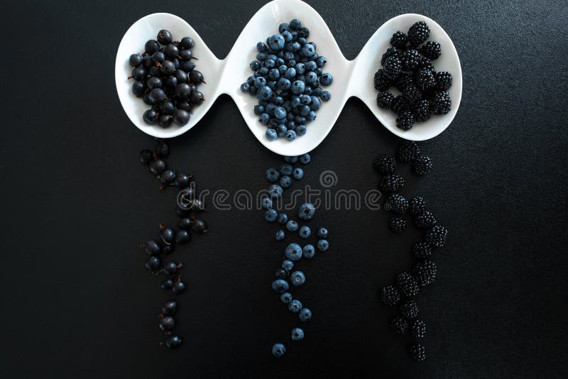 Set of Different Types of Black Berries in a White Plate on a Black ...
