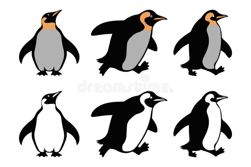 Set of Different Types of Black Emperor Penguin Vector Illustration ...