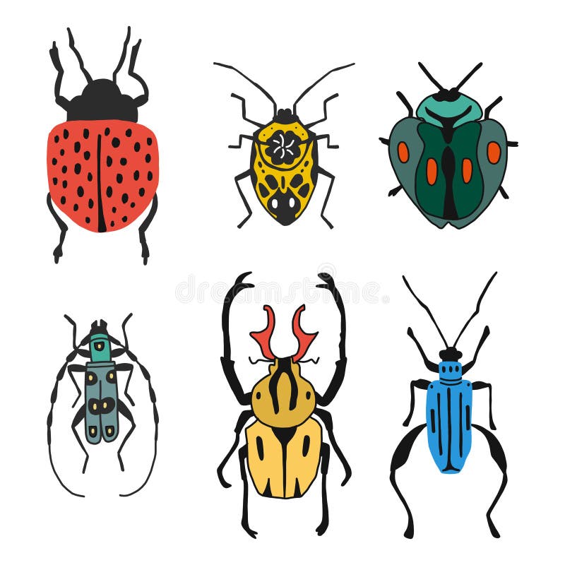 Set of Different Types of Bugs and Beetles Isolated on White Background ...