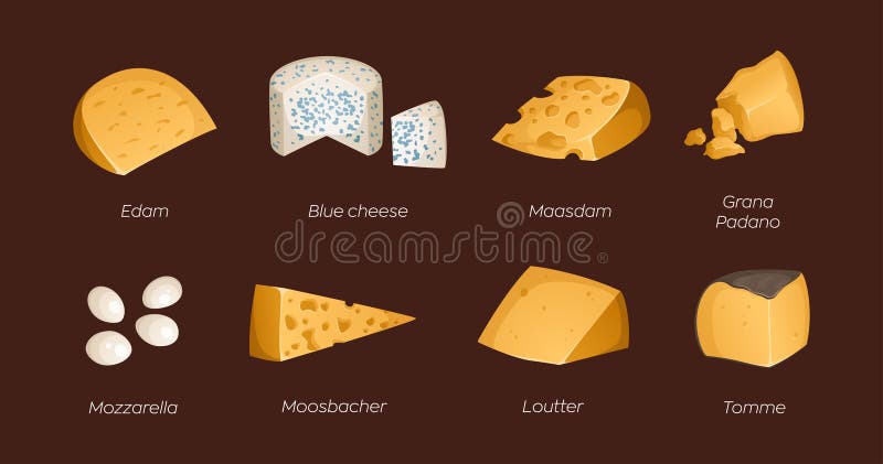 Set of Different Types of Cheeses. Vector Illustration with Text. Ideal ...