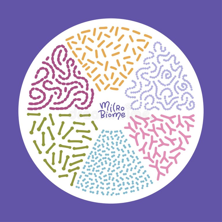 Positive Types Stomach Bacteria Stock Photos - Free & Royalty-Free ...