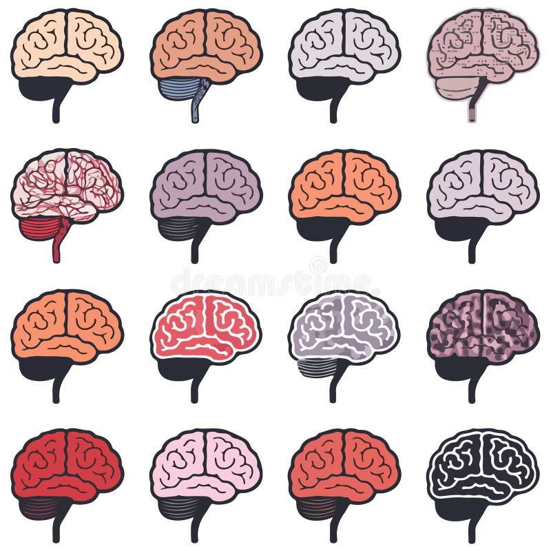 Set of Different Types of Human Brain Vector Icons Stock Vector ...