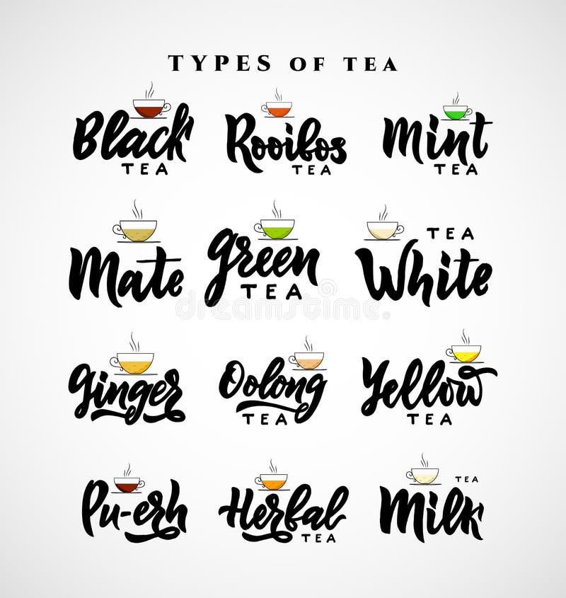 Set Different Types of Name of Tea. Hand Calligraphy Lettering. Vector ...