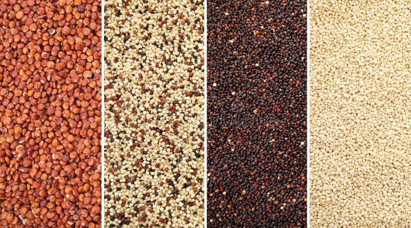 Set with Different Types of Quinoa Stock Image - Image of crop, collage ...